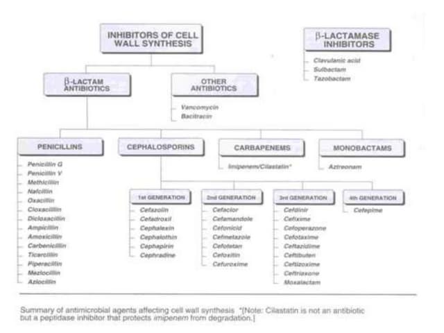 CMA-CPP-CQA for oral solid dosageform | PPTX