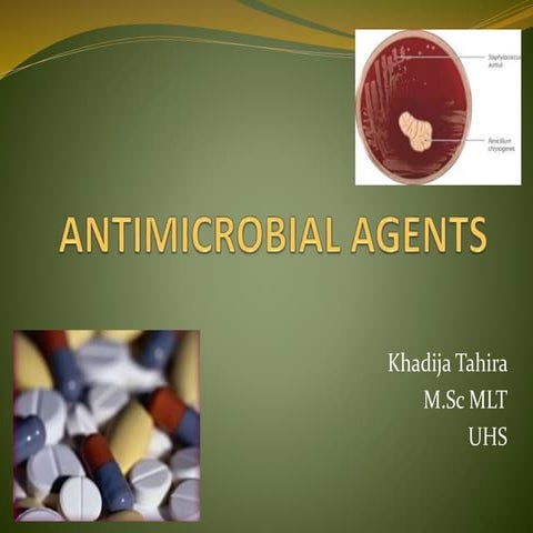 Antibiotics | PPTX