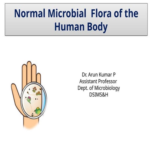 Antibiotics and normal flora by Arun 2023 | PPTX