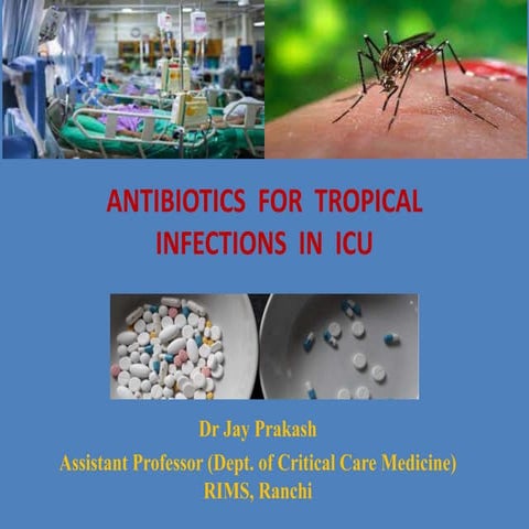 Antibiotics in tropical fever in icu. | PPTX