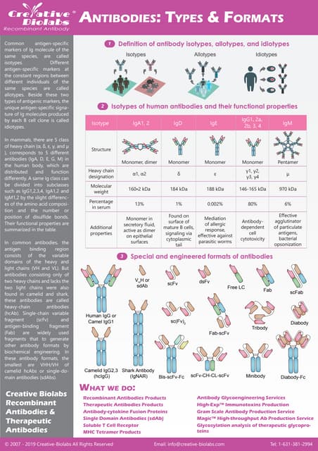 Introduction to antibodies | PDF
