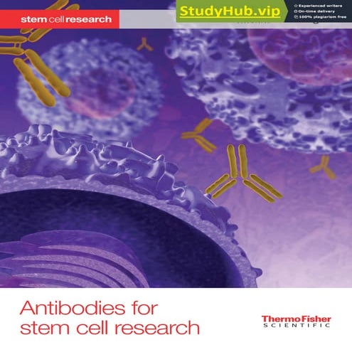 Antibodies For Stem Cell Research | PDF | Biological Sciences | Science