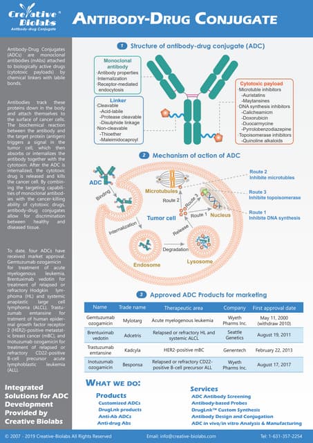 Anticancer ( rituximab ), monoclonal antibody | PPTX | Cancer | Diseases and Conditions