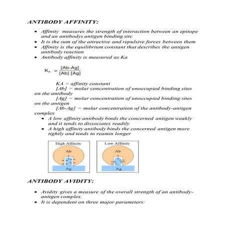 Antibody affinity and avidity | DOCX
