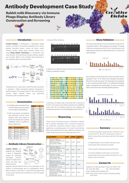 Human antibody library | PPT