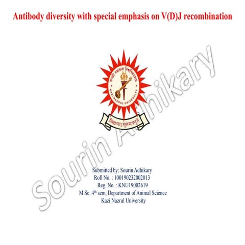 Mechanism of vd(j) recombination and generation of antibody diversity ...