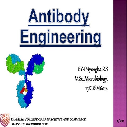 Antibody engineering by R.S.Priyengha | PPTX