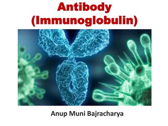 immunoglobulins.pptx | Allergies | Diseases and Conditions