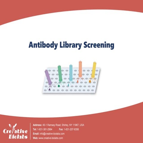 Antibody Library Screening - Creative Biolabs | PPT