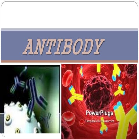 Immunoglobulins: structure, functions & types | PPTX