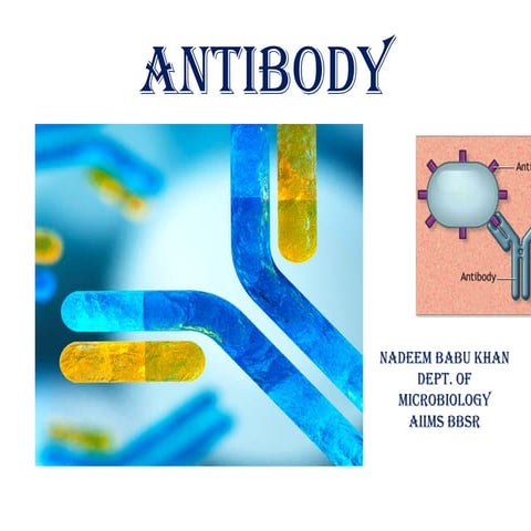 ANTIBODY PRESENTATION FOR UNDERGRADUATE STUDENTS | PPT