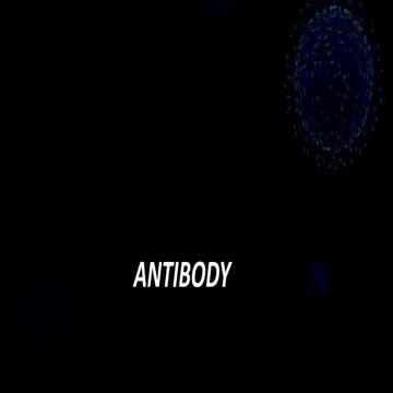 Antibody Structure | PPT