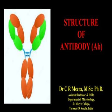 Antibody structure dr meera | PPTX