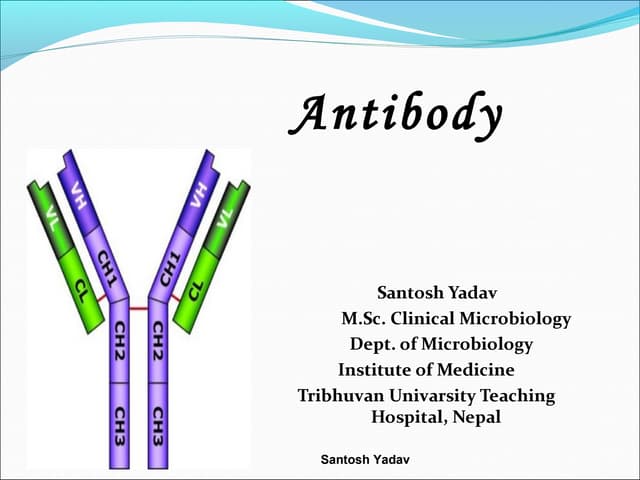 Antibody: Structure and Function | PPTX