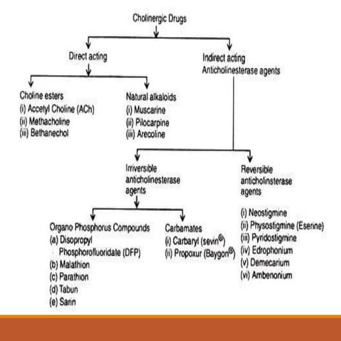 Anti-cholinergic Drugs | PPTX