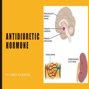 ANTIDIURETIC HORMONE pptx | PPTX