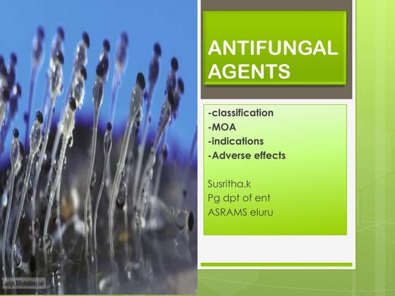 ANTIFUNGAL DRUGS - AZOLES. ppt . | PPT