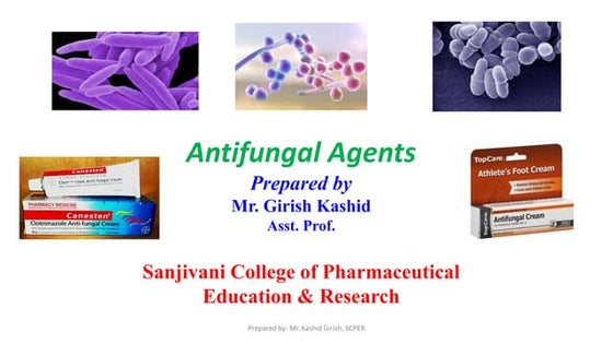 Antifungal | PPT