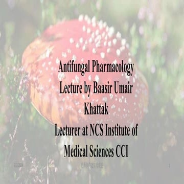 Antifungals: 5 types of classification, individual drug PK, PD and uses ...