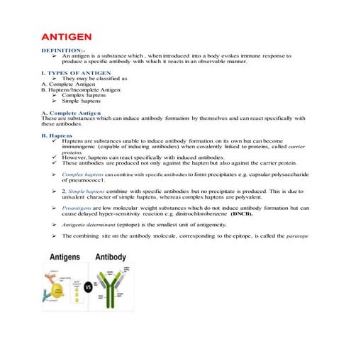 Antigen | DOCX
