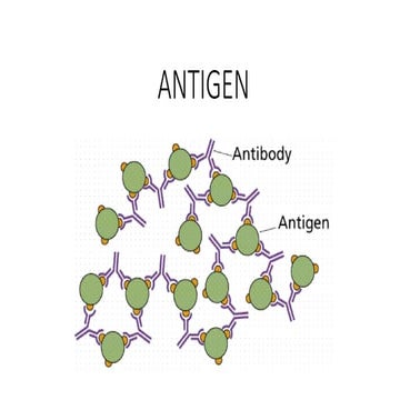 Antigen | PPTX | Chemistry | Science