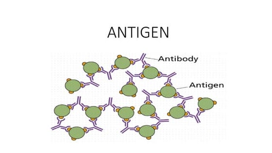 Antigen | PPT