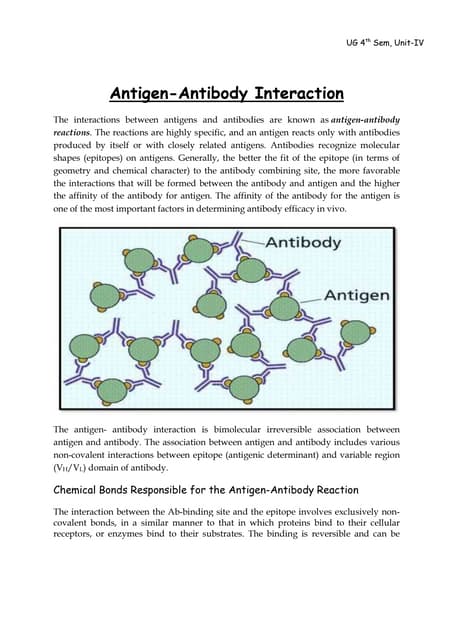 Antigen antibody reactions | PPTX | Chemistry | Science