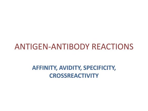 Antibody affinity and avidity | DOCX