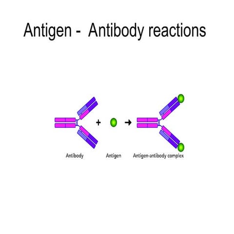Antigen and Antibody Reactions for Medical Students.ppt