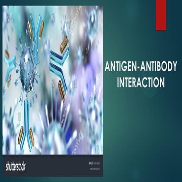 Antigen Antibody Interaction-III.pdf it and immunity mechanism | PDF