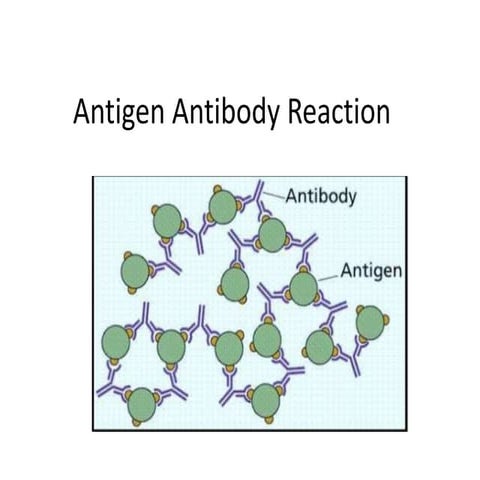 Antigen Antibody Reaction-2.pptx