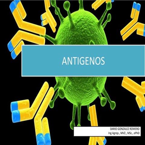 Antigenos | PPTX
