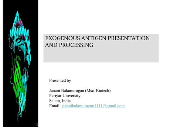 Lecture On Antigen Processing And Presentation Pathways Pdf