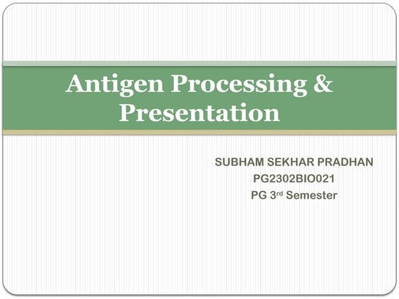 Antigen Processing And Presentation Ppt