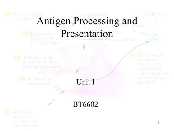 Antigen processing and presentation | PPT
