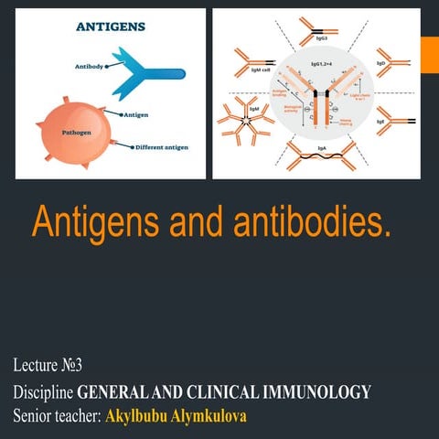 Antigens and antibodies Lecture №3.pptx. | PPT