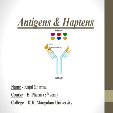 Antigens, Haptens and Adjuvants | PPT