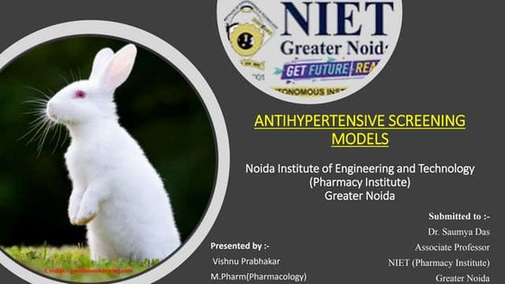 Pharmacology effect of drugs on isolated perfused frog's heart | PPT