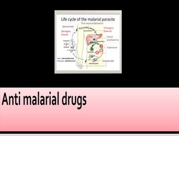 Pharmacotherapy of malaria | PPTX