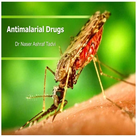 Anti malarial drug classification | PDF