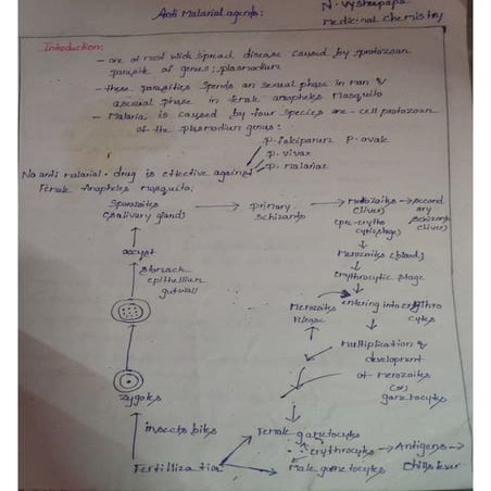 anti malarials drugs medicalchemistry 🦟 | PDF