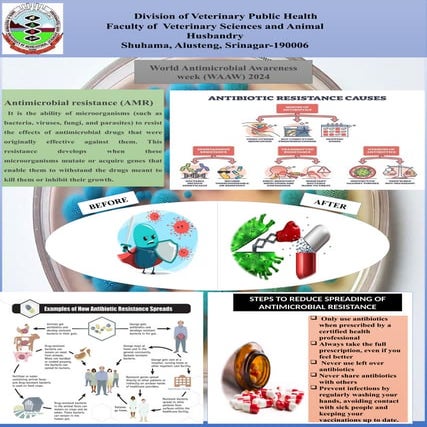 Antimicrobial_resistance_poster final.pptx