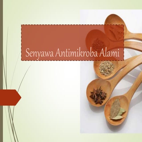 antimikroba dr. nanang.pptx