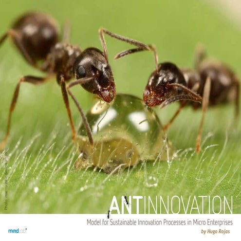 Ant Innovation | PPT