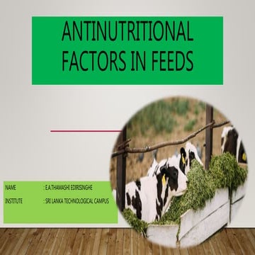 Anti nutritional factors | PPTX
