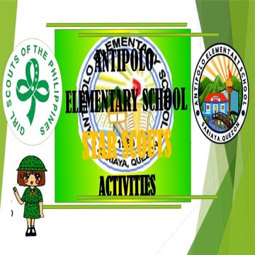 Sample Narrative of Star Scouts Activity | PPTX