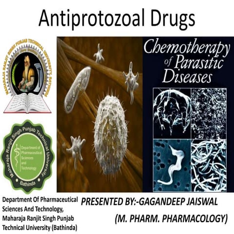 Protozoal infections and antiprotozoal drugs(therapy). | PPTX