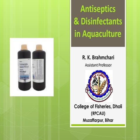 Antiseptics and disinfectants in aquaculture | PDF