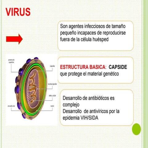 Antivirales Farmacologia | PPTX