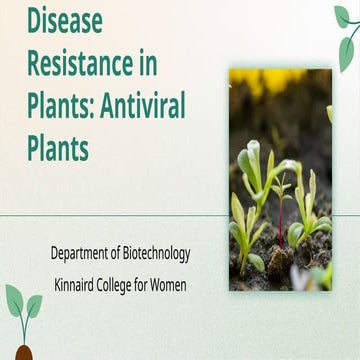Antiviral Plants and Transcriptome Analysis of Virus Resistant Plants.pptx